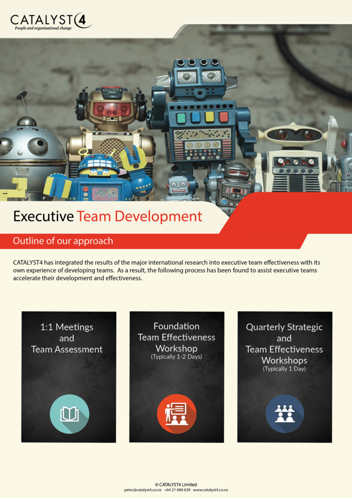 Executive Team Development - Catalyst4